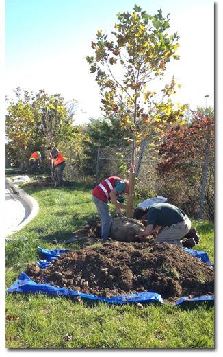 Visitors Impressed with Hands-On Learning - Capital Area Food Bank