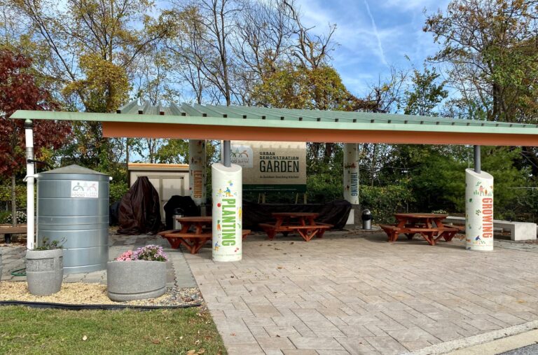 Peek inside our revamped garden and outdoor kitchen! - Capital Area ...