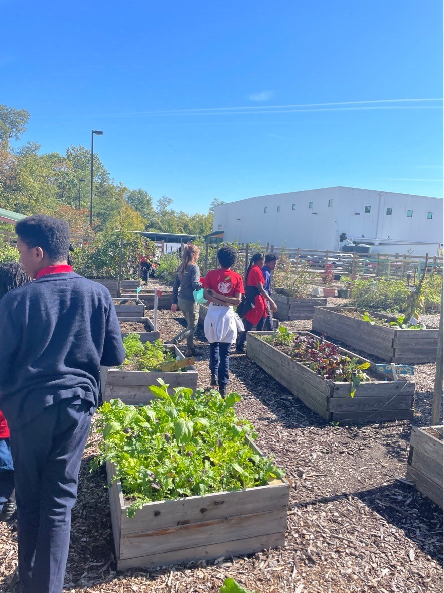 Let’s Go On a Field Trip to the CAFB Garden! - Capital Area Food Bank