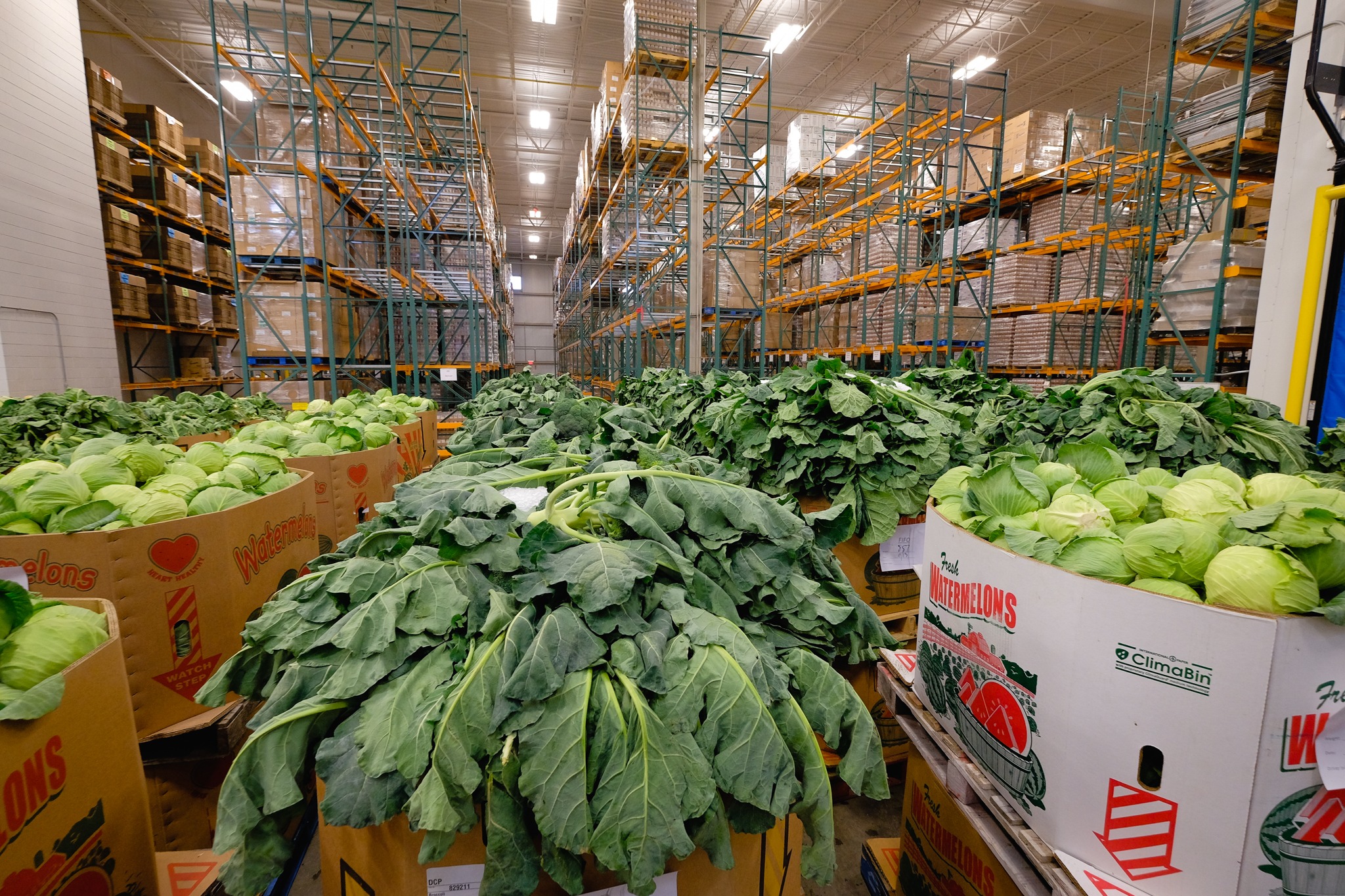 Food is Medicine at the Capital Area Food Bank - Capital Area Food Bank
